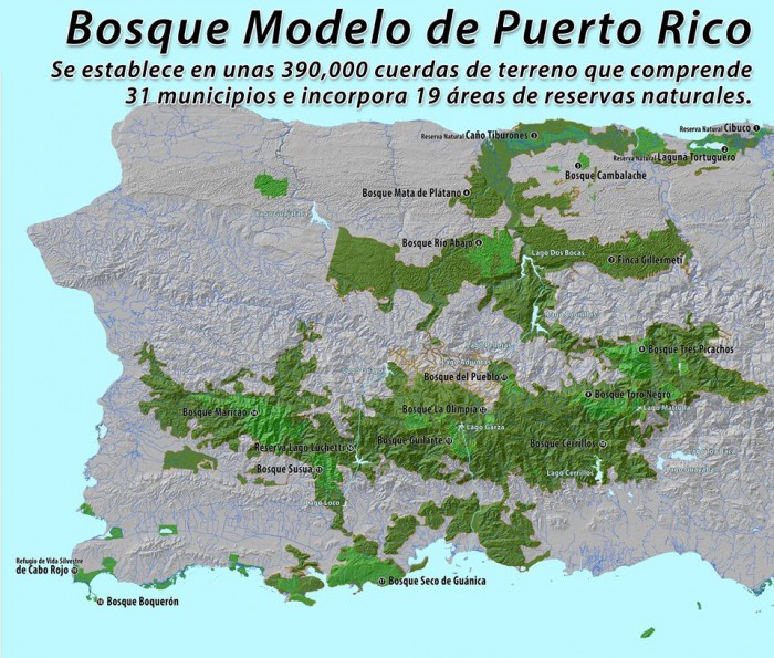 Bosque Modelo Nacional de Puerto Rico – Casa Pueblo • Puerto Rico
